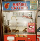 Japanese lobster-vending machine - Boing Boing